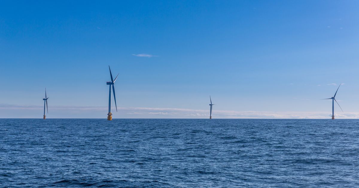 Equinor NORCE conclude eDNA pilot study at Hywind Scotland Floating ...